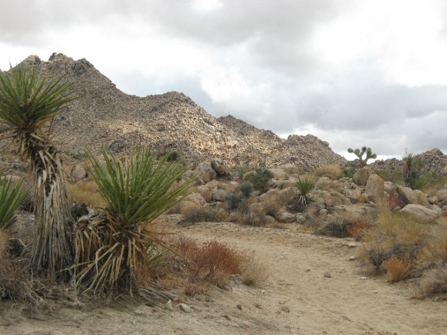 County Service Area 20 – Facilities – Public Works