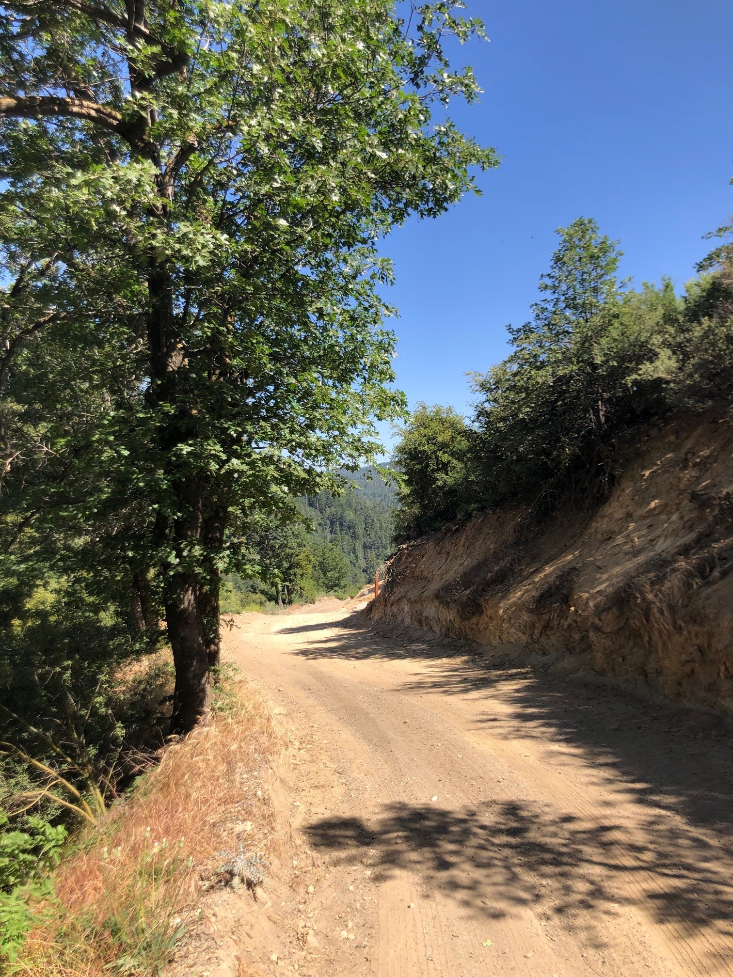 CSA 70 R-44 Annual Grading Completed – Public Works